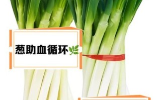 大葱的营养价值_大葱有哪些营养成分