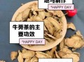 牛蒡茶长什么样_牛蒡茶真假辨别方法