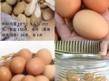 鸡蛋变蛋的制作方法窍门_鸡蛋变蛋怎么做才成功