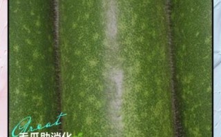 毛瓜怎么做好吃_毛瓜的做法大全家常