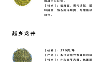 龙井属于绿茶吗_龙井茶分类疑问