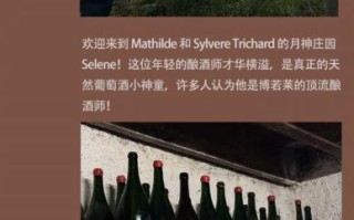 how_to_make_cherry_wine_at_home_what_is_cherry_wine