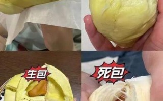 榴莲网怎么选_榴莲网靠谱吗