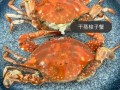 清蒸梭子蟹怎么蒸_梭子蟹蒸多久才鲜嫩