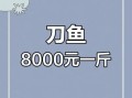 长江刀鱼多少钱一斤_2024最新市场价