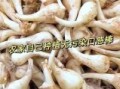 荞头和蒜头的区别_荞头是不是蒜头