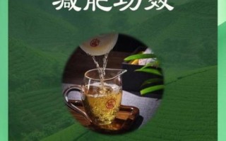 普洱茶怎么喝减肥效果最好_普洱茶减肥正确喝法