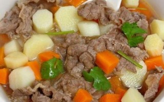 牛肉炖萝卜用什么牛肉_牛腩还是牛肋条
