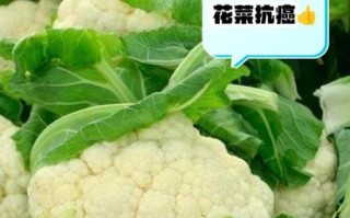 花菜的功效与作用禁忌_什么人不能吃花菜