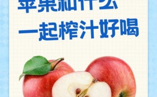苹果和什么榨汁好喝_苹果榨汁最佳搭配 苹果和什么榨汁好喝_苹果榨汁最佳搭配