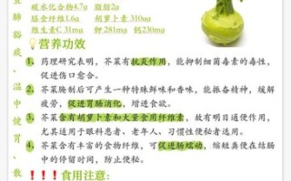 大叶芥菜怎么种_大叶芥菜的功效与作用