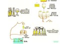 葡萄酒怎么酿制_家庭版详细步骤