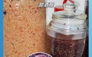 黑糯米怎么煮才软糯_黑糯米要泡多久才软