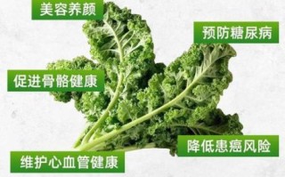 羽衣甘蓝怎么吃有营养_羽衣甘蓝榨汁还是凉拌好