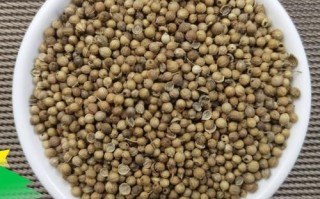 香菜籽别名有哪些_香菜籽与芫荽籽一样吗