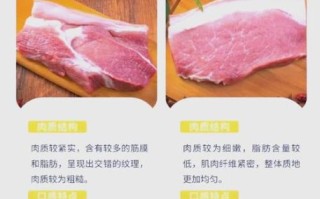 后腿肉和前腿肉哪个好_后腿肉和前腿肉区别
