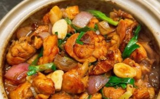 鸡煲的做法大全家常_鸡煲怎么做好吃