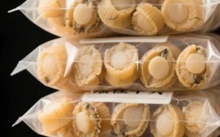 干贝怎么泡发_干贝怎么吃最好吃