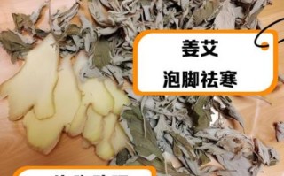 艾草泡脚治什么病_艾草泡脚的功效与作用
