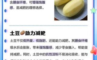 土豆怎么吃减肥_土豆减肥的正确吃法