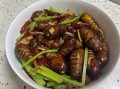 芹菜炒蚕蛹怎么做好吃_芹菜炒蚕蛹家常做法