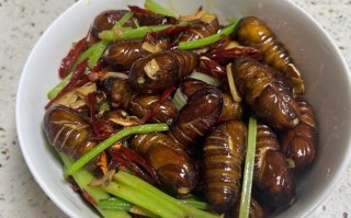 芹菜炒蚕蛹怎么做好吃_芹菜炒蚕蛹家常做法