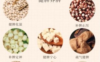 补脾健脾食物排行榜_脾虚吃什么好