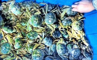 固城湖大闸蟹多少钱一斤_固城湖大闸蟹价格行情