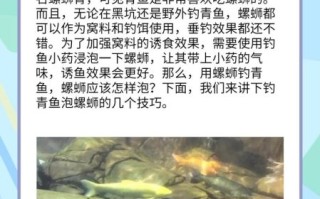 青鱼吃什么食物为主_青鱼最爱吃哪些天然饵料