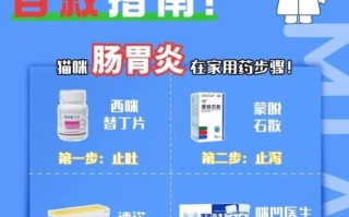 胃肠炎吃什么药比较管用_胃肠炎用药指南