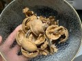 核桃调蛋怎么做_核桃调蛋的做法窍门