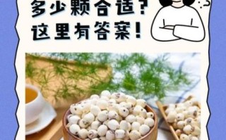 生莲子怎么吃_生莲子能直接吃吗