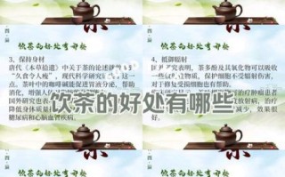 喝茶的好处有哪些_茶的功效与作用