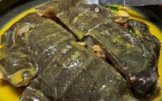 甲鱼和什么一起炖最好_甲鱼炖汤最佳搭配