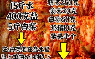 自制朝鲜辣白菜怎么做_正宗辣白菜腌制方法