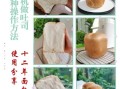 面包机做面包需要多久_面包机做面包要几个小时