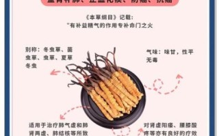 虫草的功效与作用是什么_虫草怎么吃效果最好