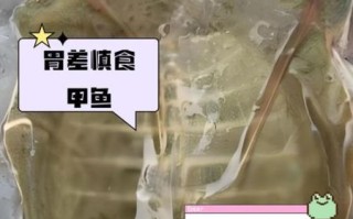 癌症病人吃甲鱼送命_甲鱼到底能不能吃