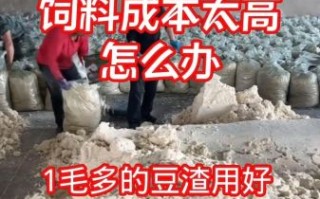 豆腐渣怎样发酵做饲料_豆腐渣发酵饲料制作方法