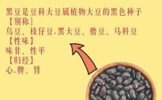 黑芸豆和黑豆哪个补肾_哪个更适合肾虚人群