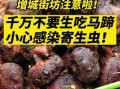 马蹄生吃有寄生虫吗_马蹄怎么洗才安全