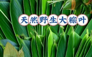 粽叶有哪几种_粽叶种类区别