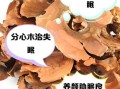 分心木的功效与作用_分心木怎么吃