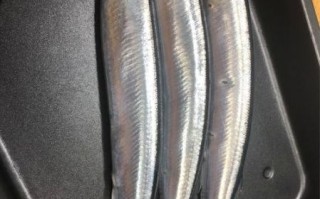 秋刀鱼多少钱一斤_秋刀鱼价格受哪些因素影响