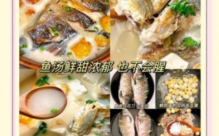 水鱼汤用什么材料煲最好_水鱼汤的经典配方