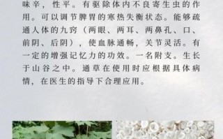 通草的功效与作用及禁忌_通草下奶多久见效