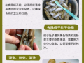 蛏子怎么清洗内脏_蛏子去内脏视频教程