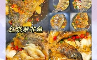 红烧罗非鱼块怎么做好吃_红烧罗非鱼块去腥窍门
