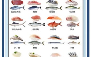 寿司材料清单_寿司需要哪些食材