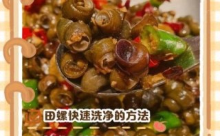 田螺怎么洗干净_田螺清洗技巧